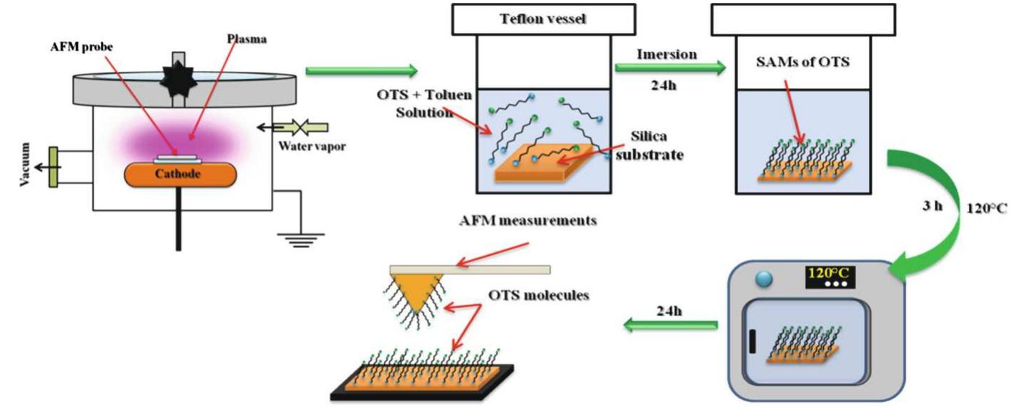 Schematic representation of the preparation steps used in