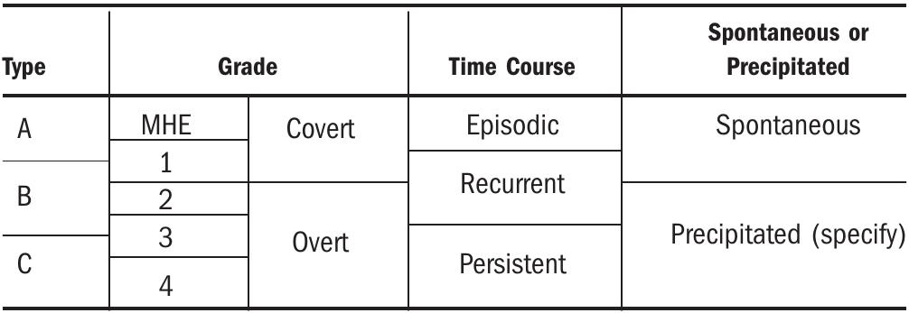 He description and clinical example the he patient should be