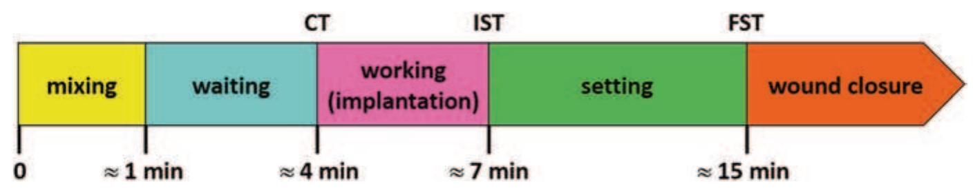 5 schematic representation of the setting process phases. ct