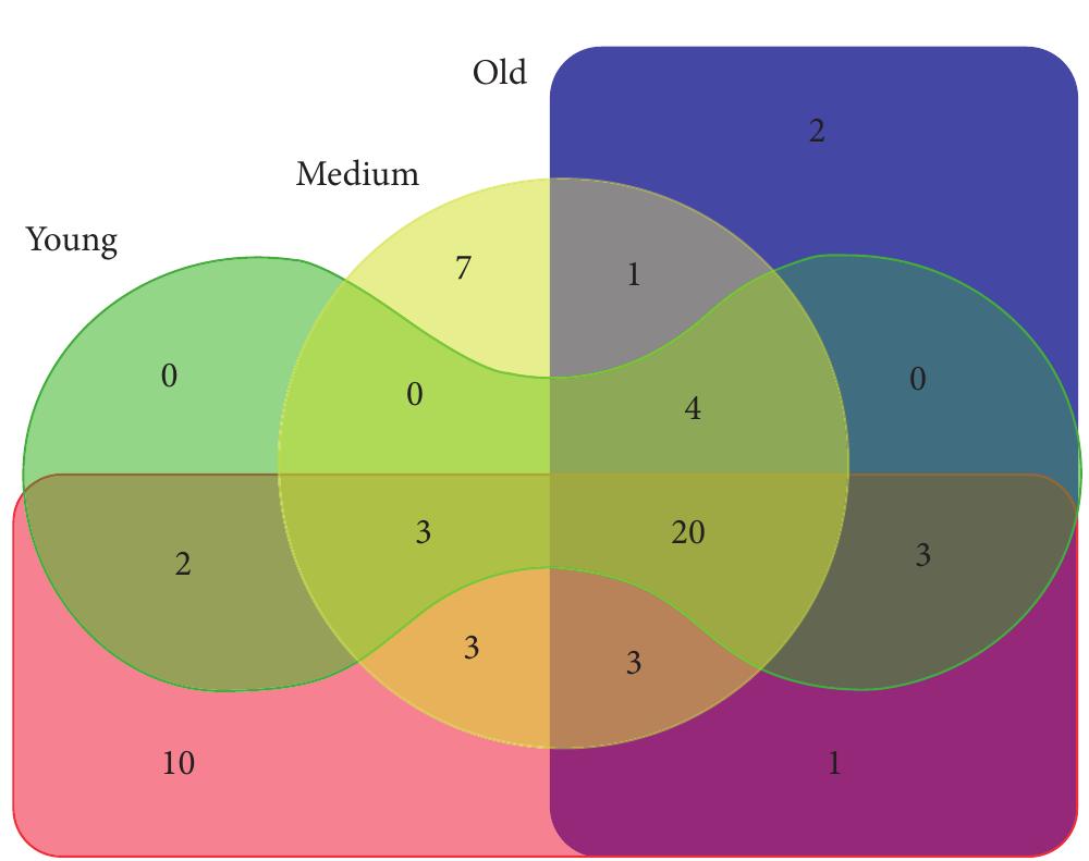 Ficure 6: nonsymmetric venn diagram showing the number of