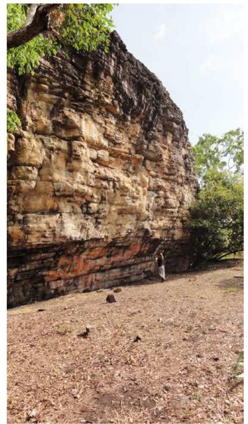 (PDF) The rock art of Madjedbebe (Malakunanja II)