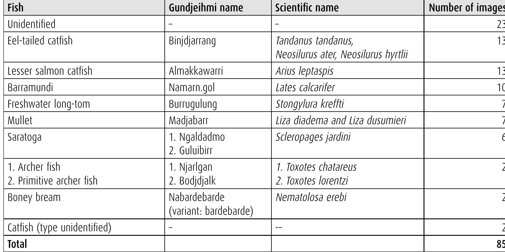 4 types of fish depicted at madjedbebe. note the