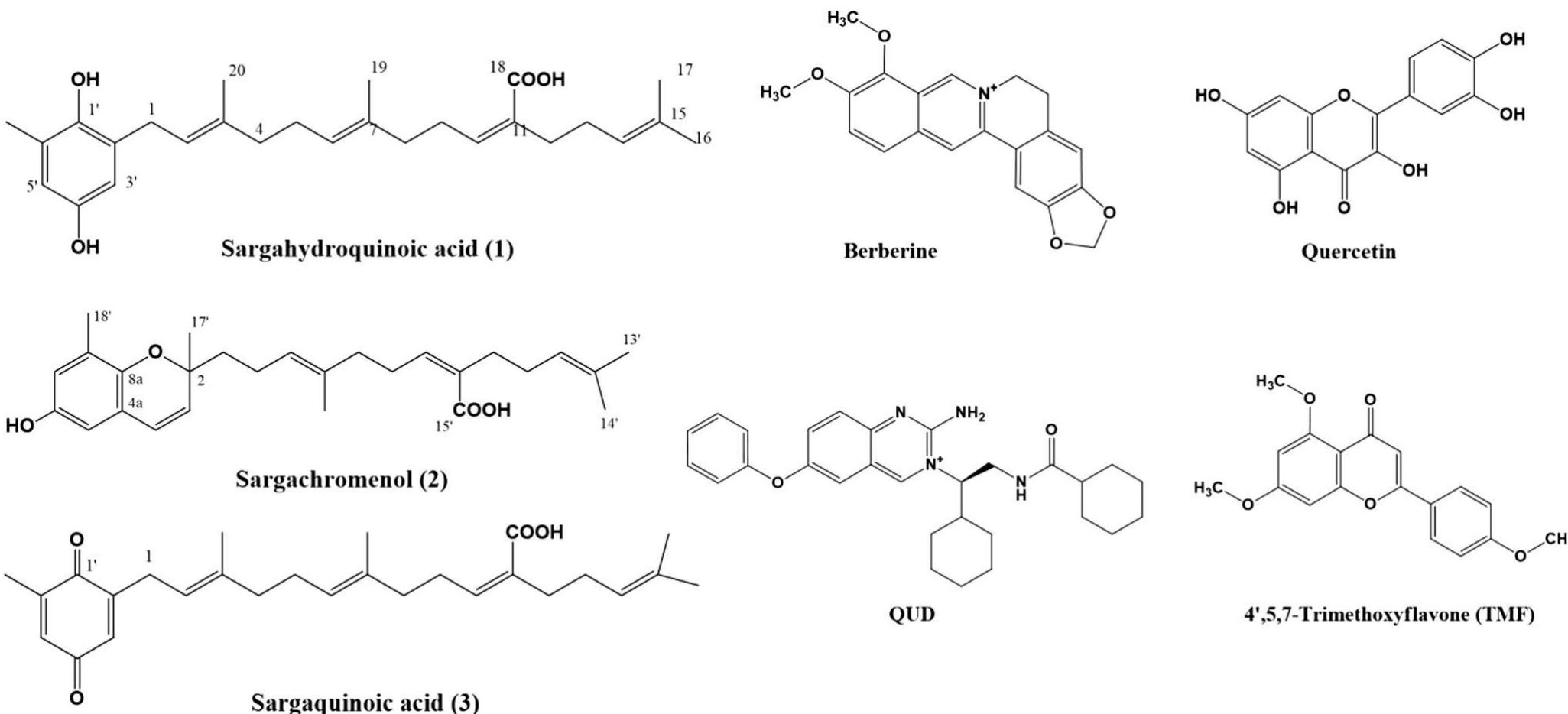 Chemical structure of the compounds isolated from s.