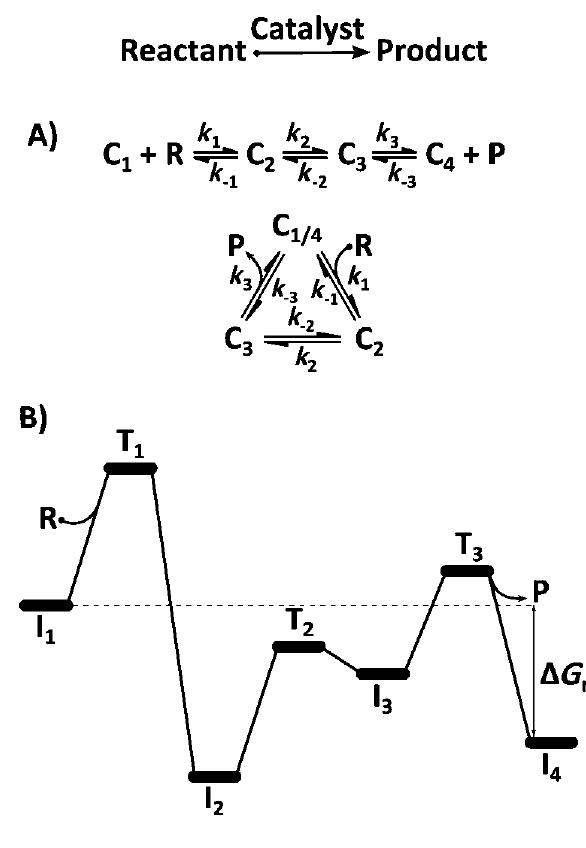 A three-step model catalytic cycle, in a) the linear and