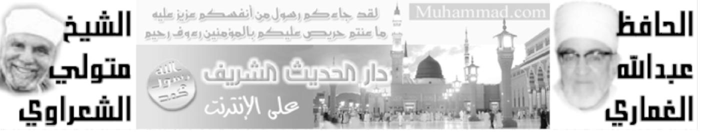 Figure 7 - A History of Allah.com