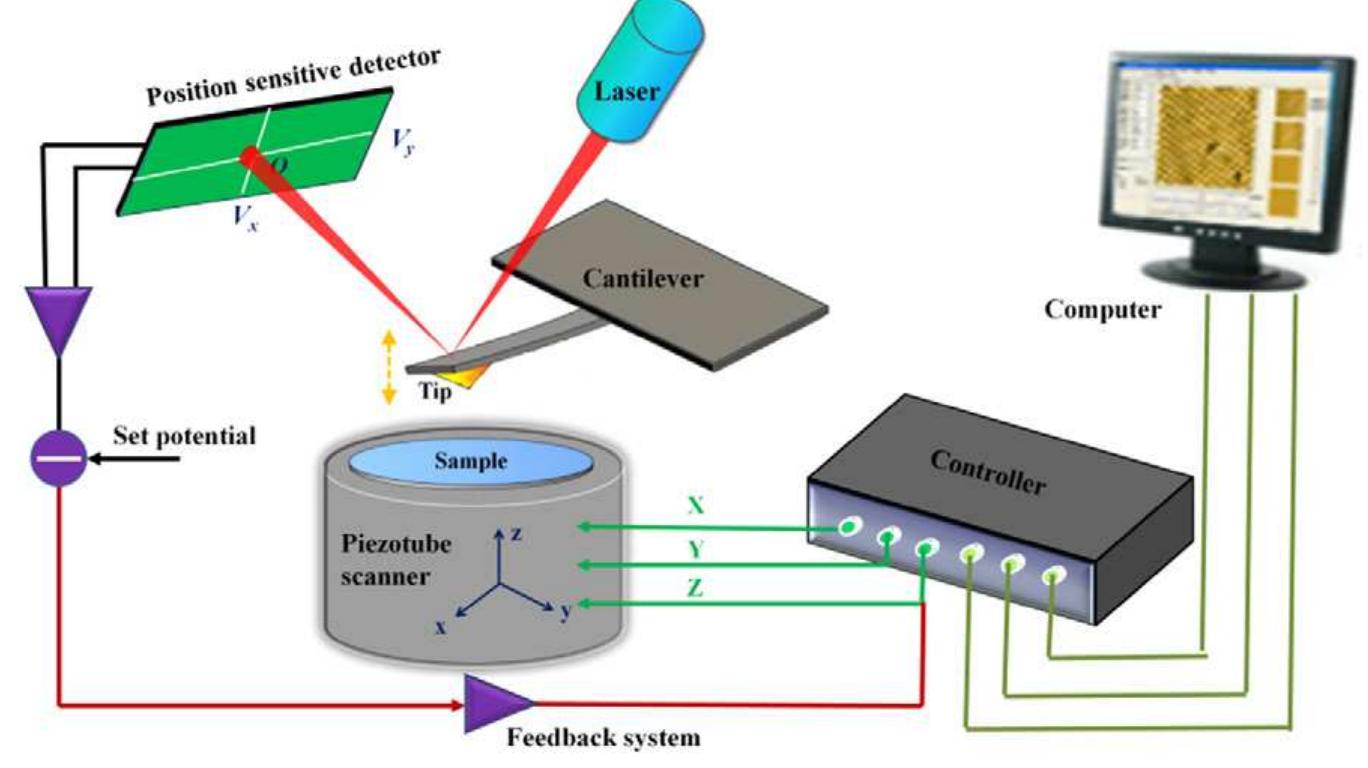 Schematic diagram of the basic working principle of afm.