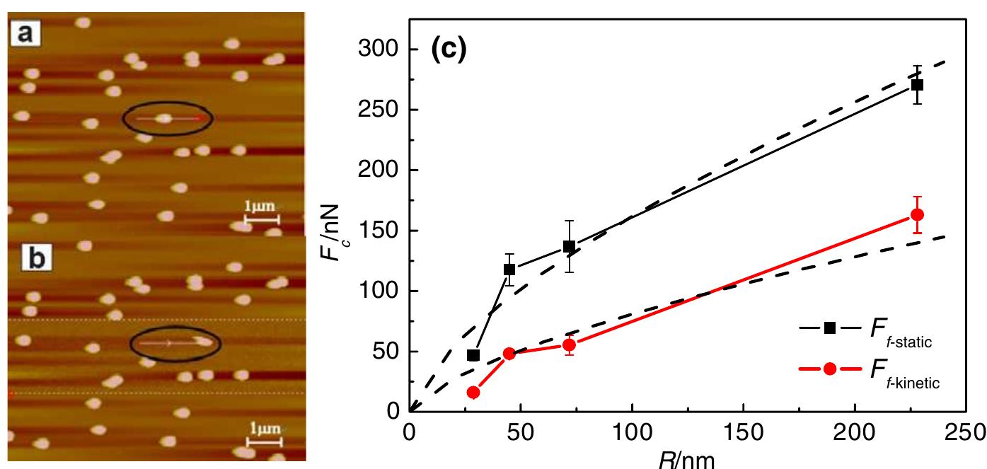 Afm images of a nanoparticle on the substrate (a) before and