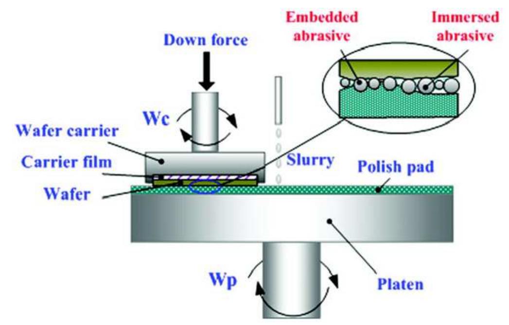 Schematic illustration of the cmp tool and the contact among