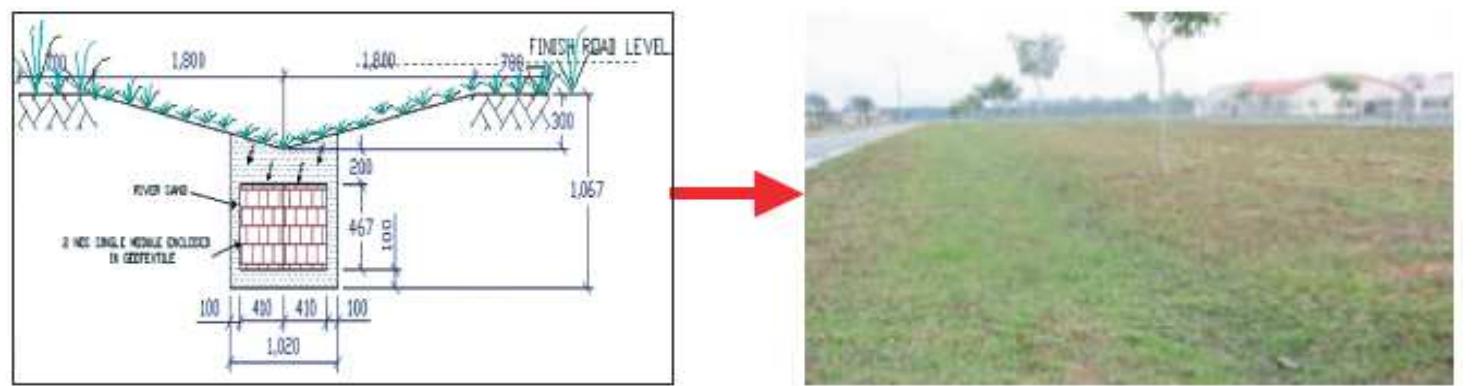 Typical cross section ecological swale type b with example