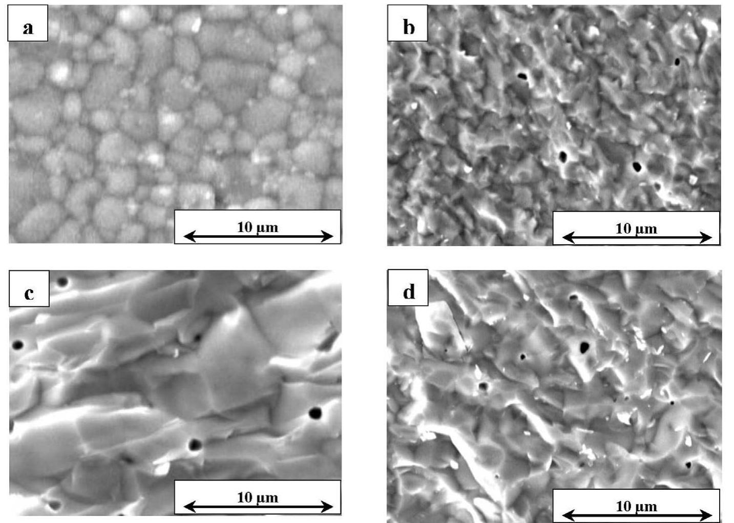 scanning electron micrographs of the cross sections of (a)