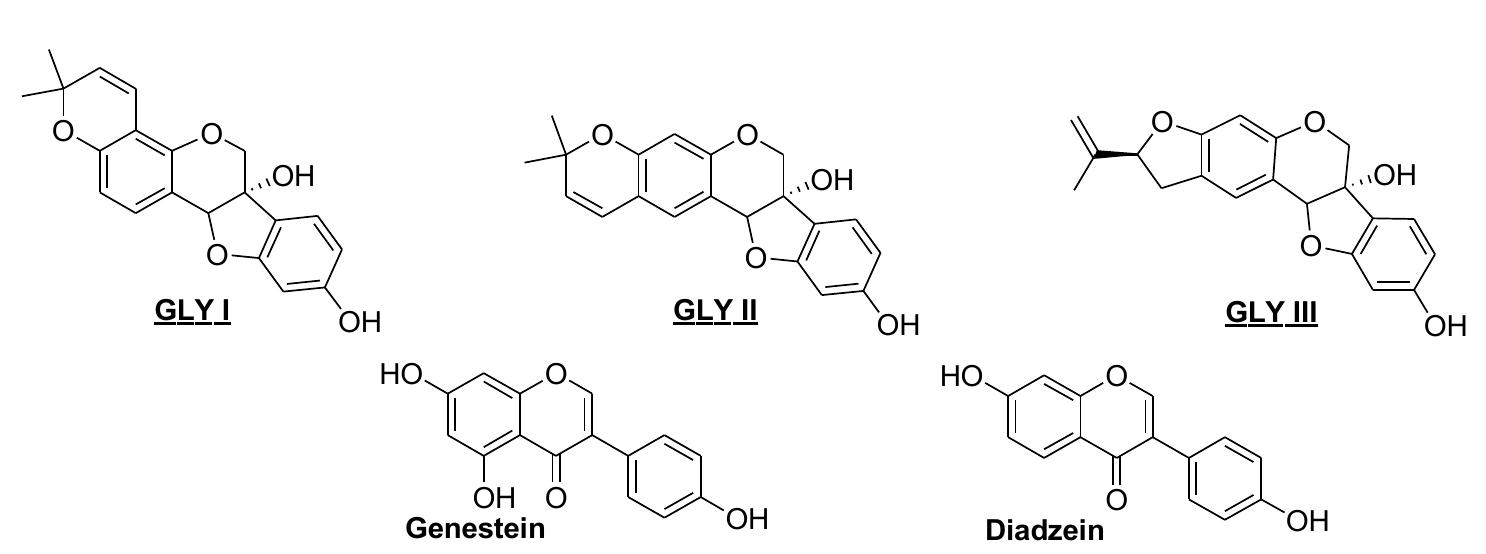 3. structures of major soy isoflavonoids and
