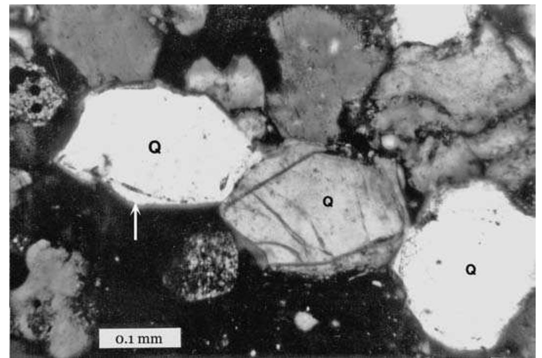 1 detrital quartz grains (q) that developed crystal faces