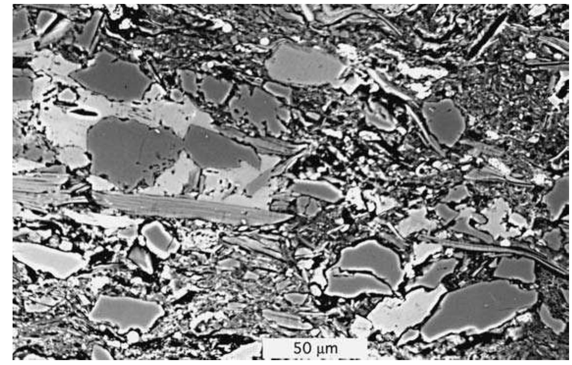 1 electron microscope photograph of a mudstone containing