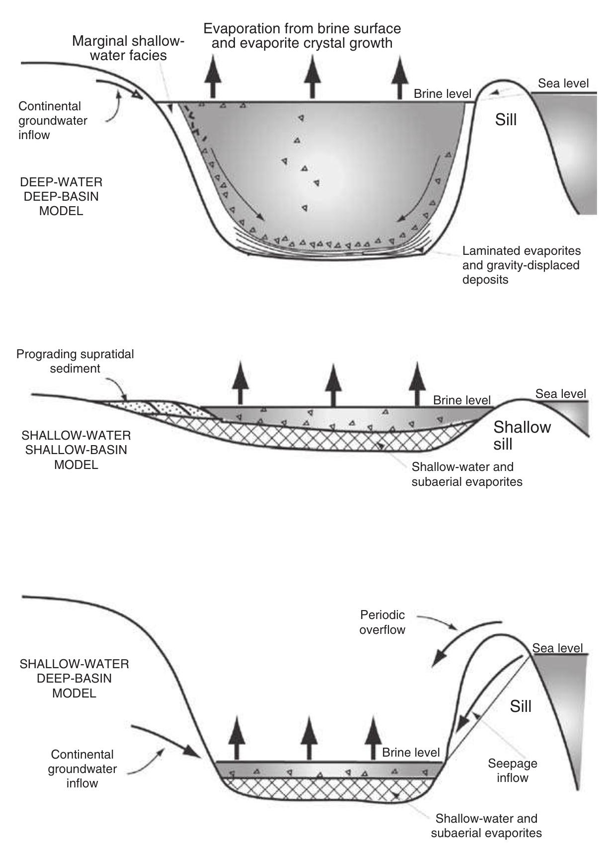 9 schematic diagram illustrating three models for deposition