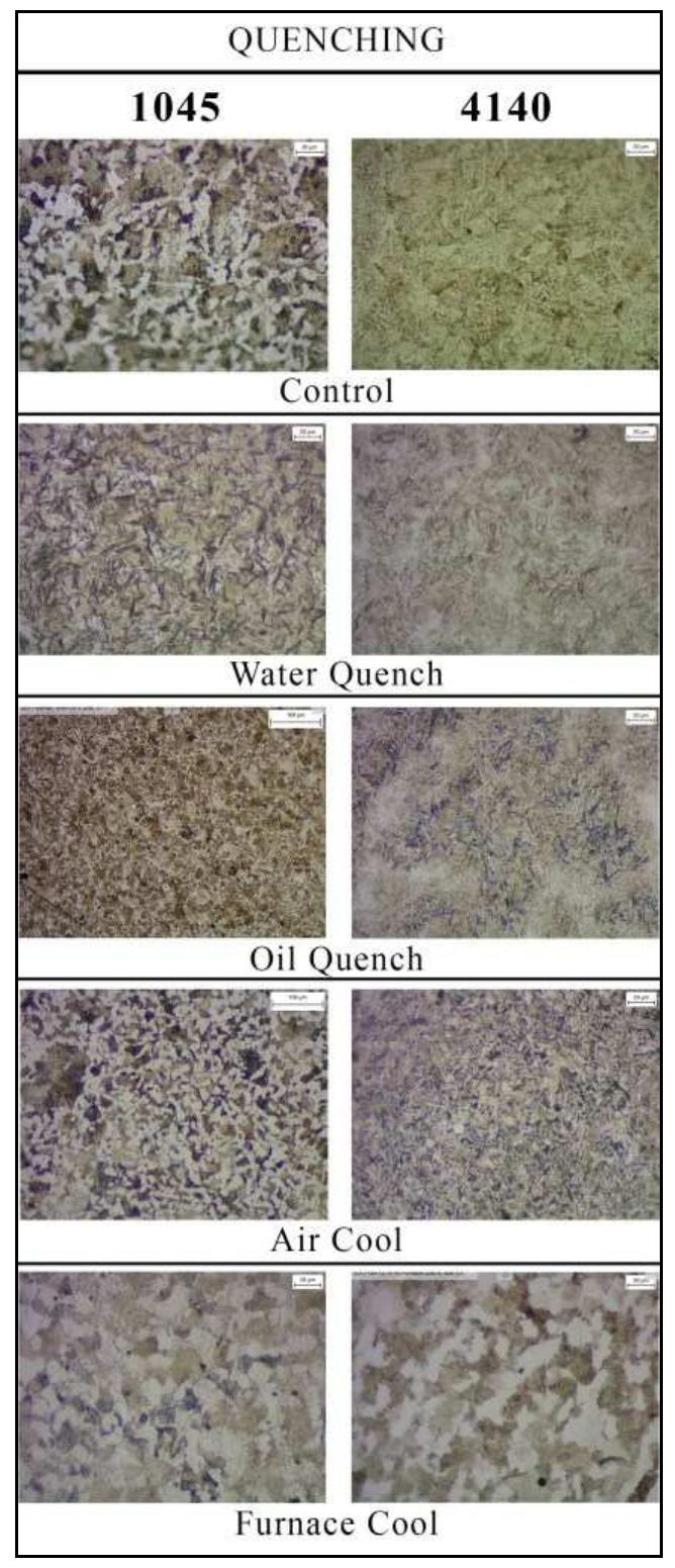 Microstructure of quenched samples shown below are the