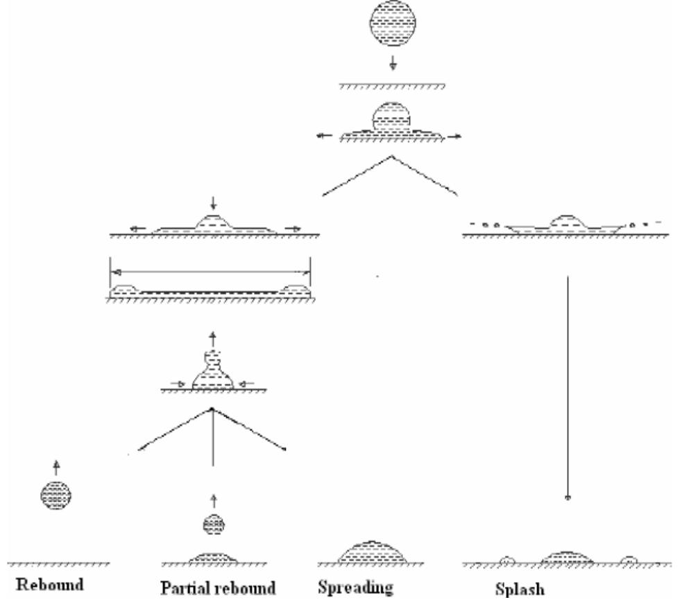 Scenarios of water drop impact on a solid surface during a