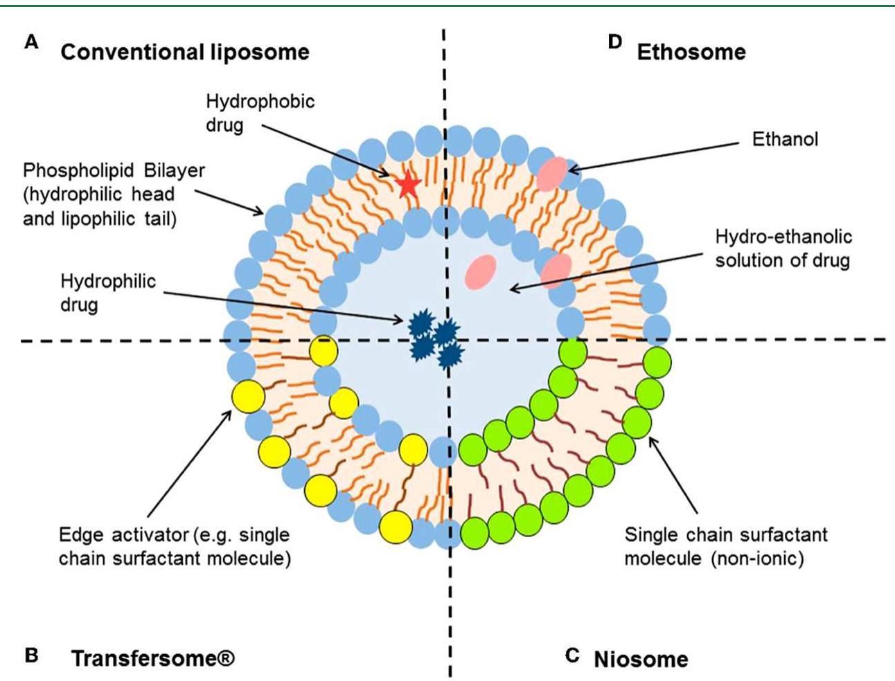Schematic representation of different types of lipid-based