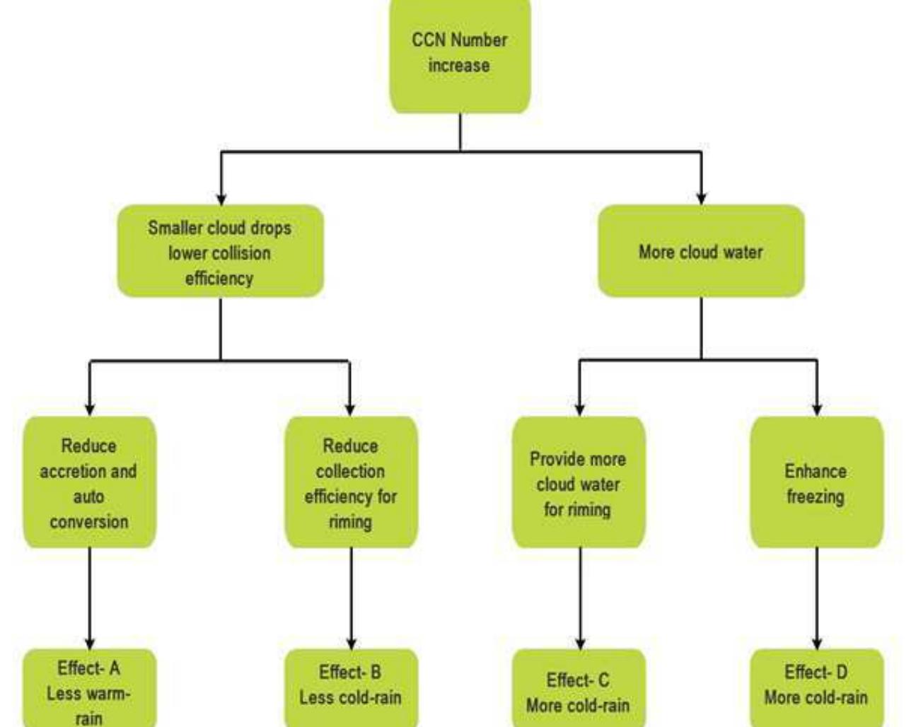 Schematic diagram illustrating the foremost effects of ccn