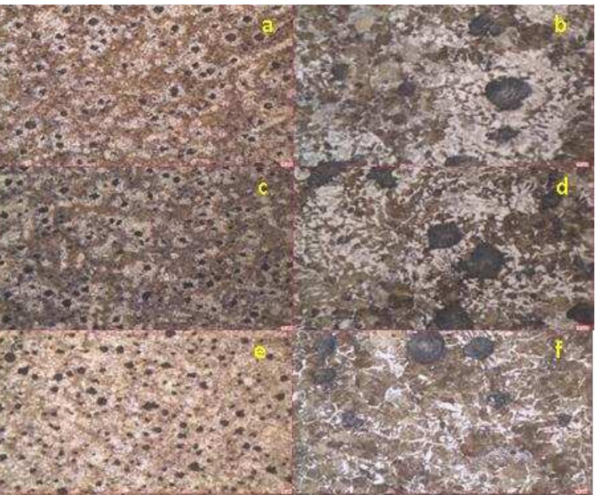 Microstructures of austempered camshaft; austempering at, 30