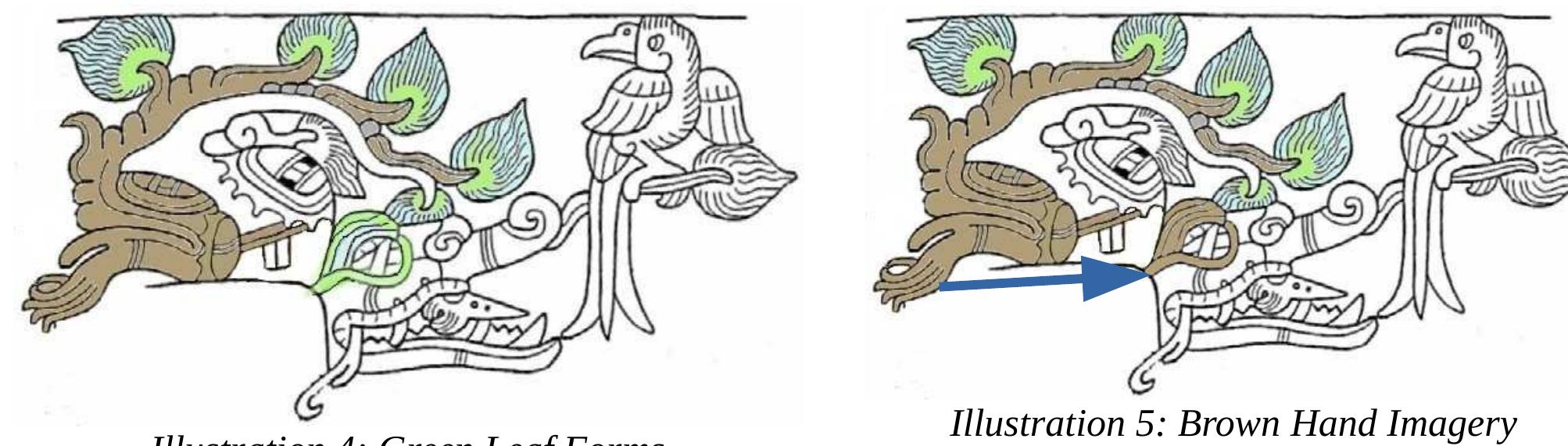 Figure 5 - An Aboriginal Australian Tree of Life