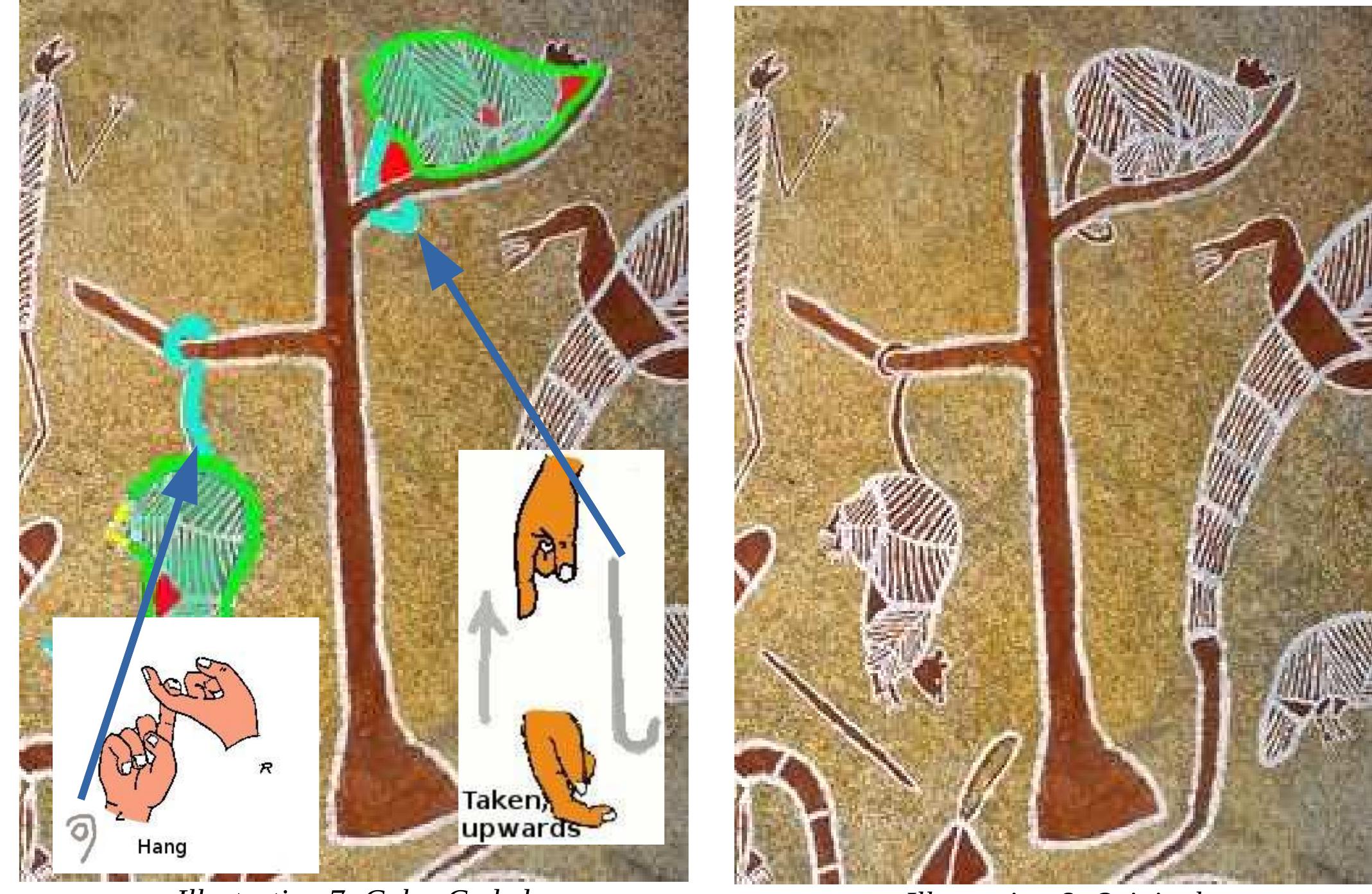 Figure 6 - An Aboriginal Australian Tree of Life