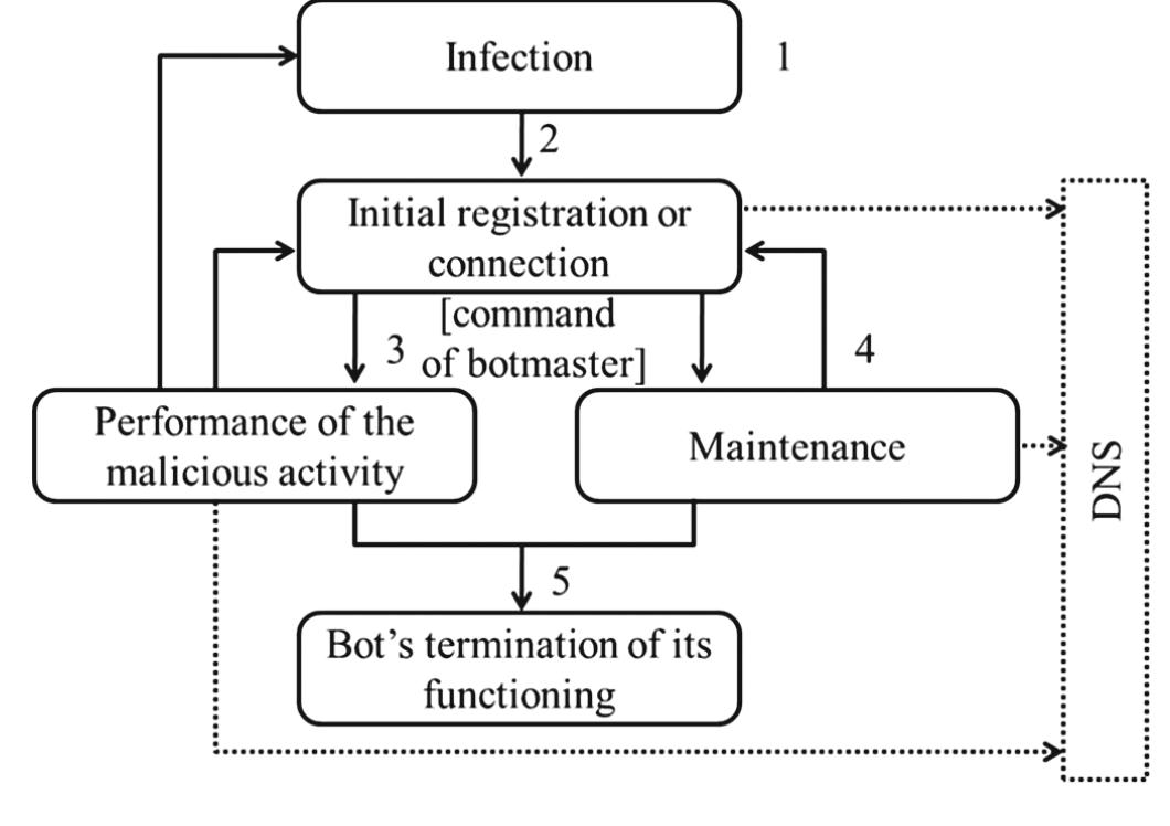 The scheme of the bots’ life-cycle behavioural model of the