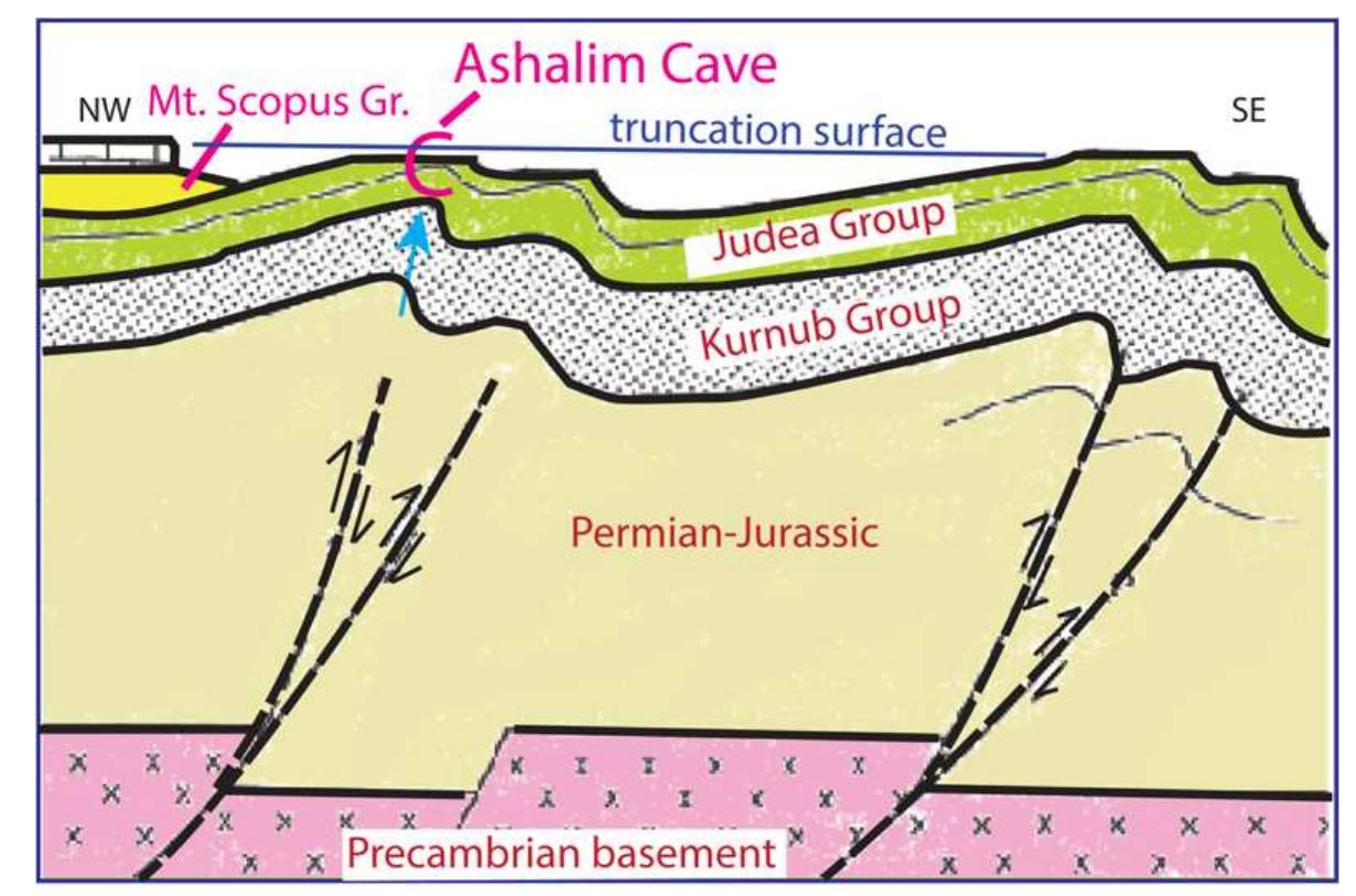 Schematic cross-section of the syrian arc structures near