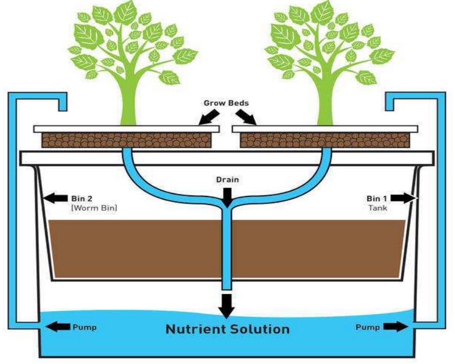 (PDF) STUDY OF HYDROPONIC SYSTEMS AND THEIR VARIATIONS