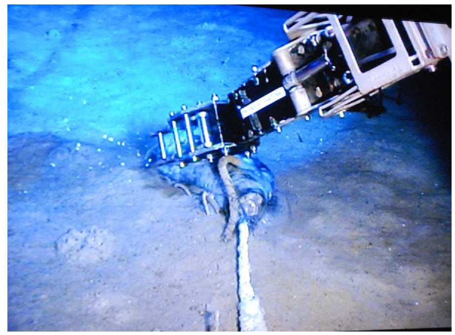 5. identification fig. 10. rov robotic arm deployed in deep