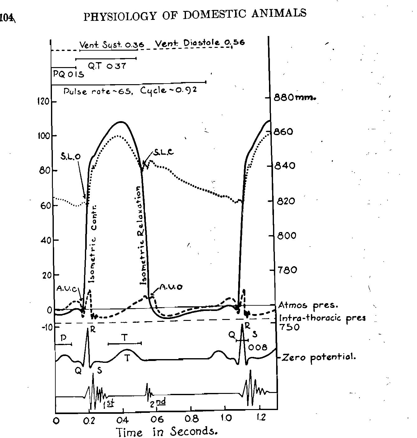 —principal events of a cardiac cycle. from below upward: