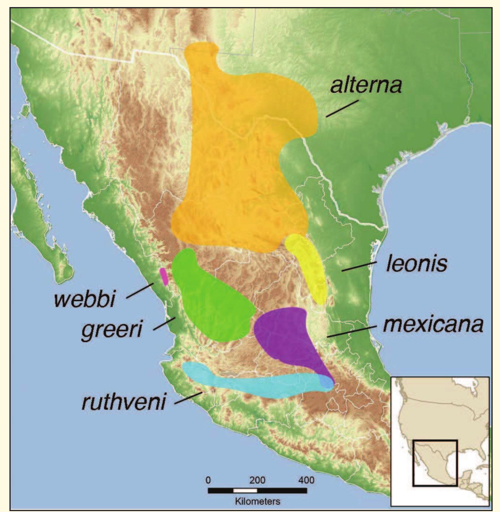 Map of the combined ranges of species in the lampropeltis