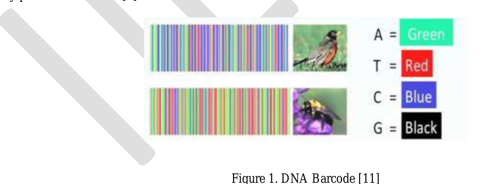 The standard region used to generate dna barcode is known as