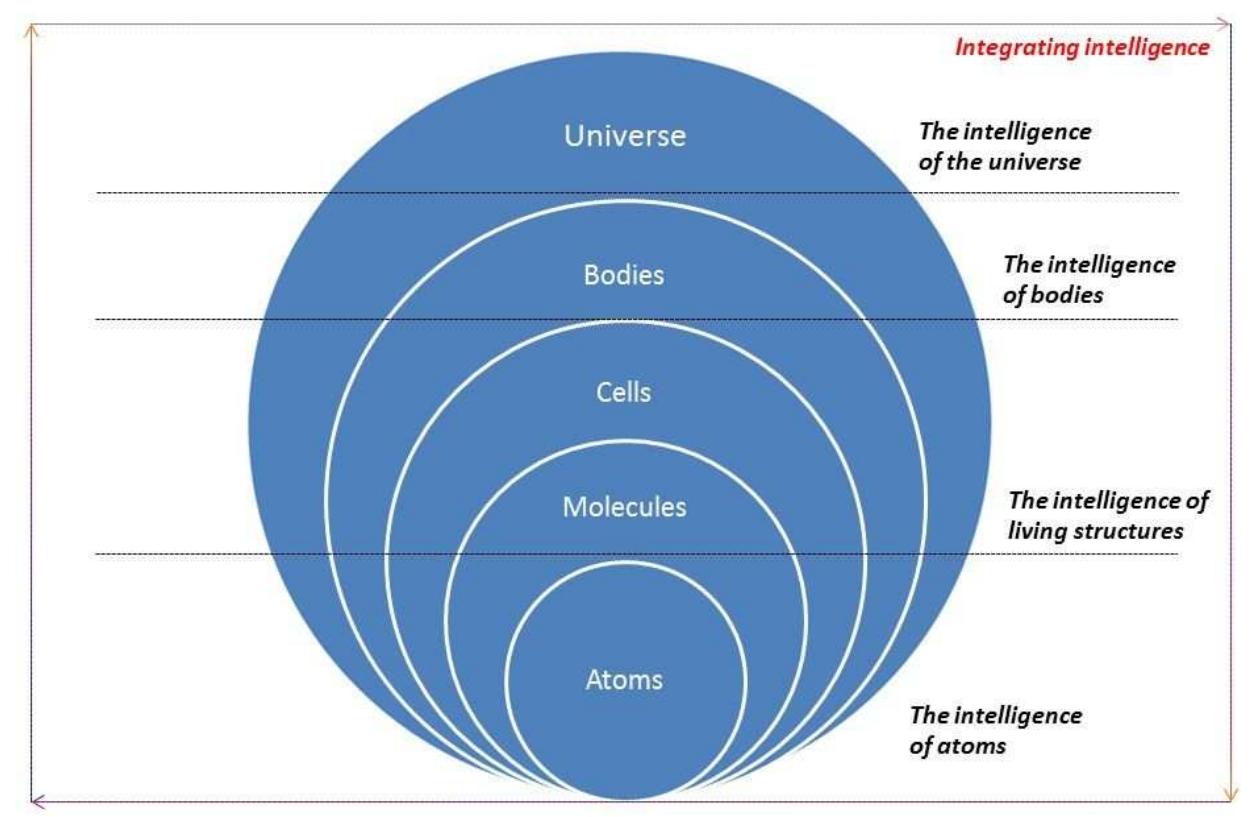 1 — the map of the levels of intelligence manifested in the