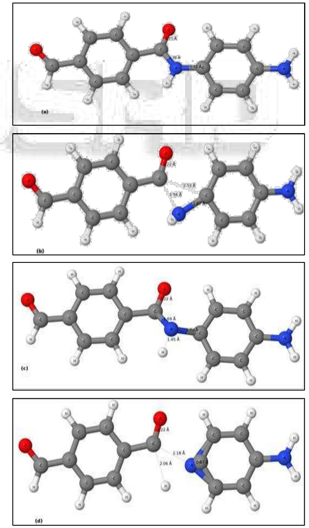 The equilibrium configurations of (kevlar-29), (kevlar-29)-