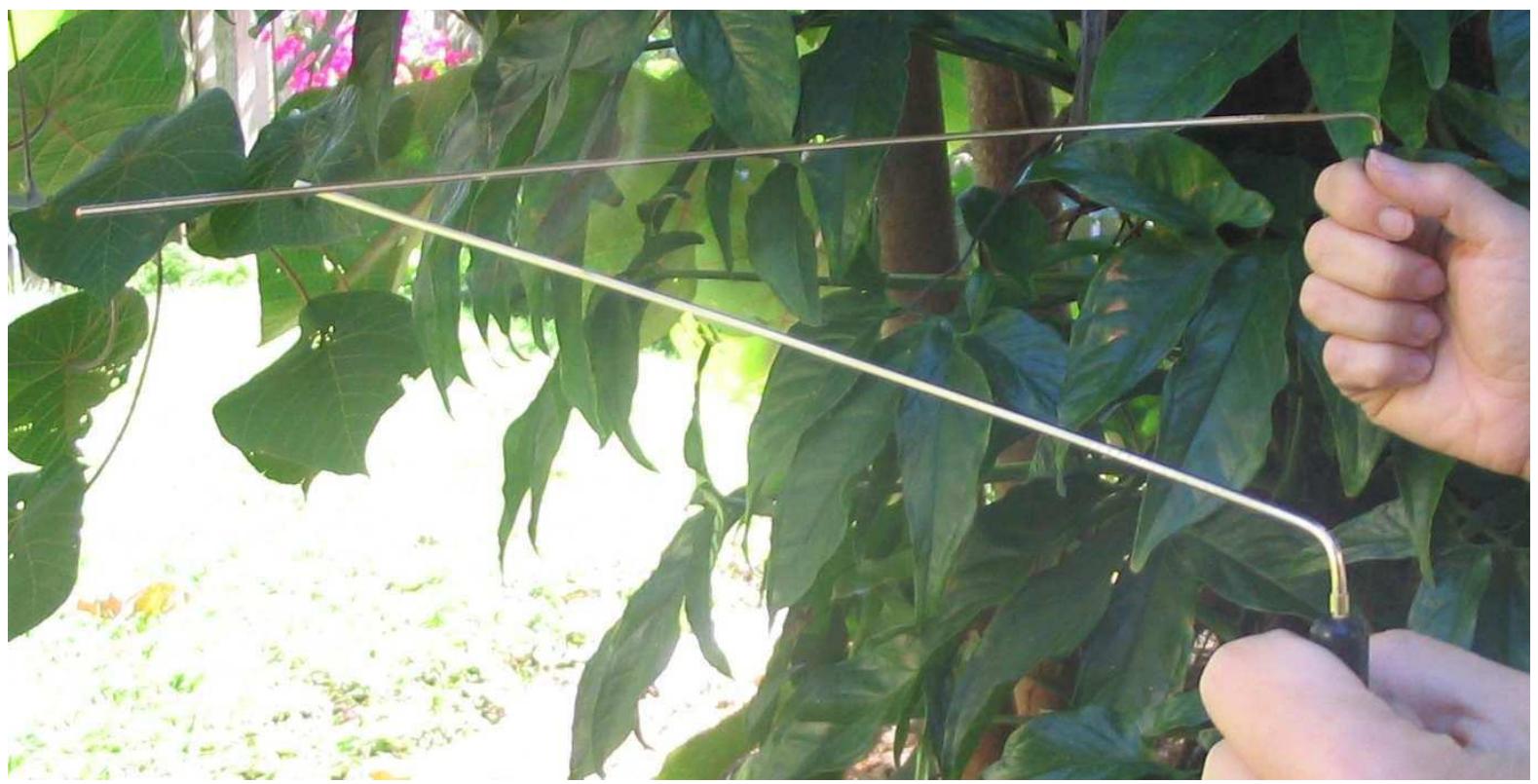 Below is clear manifestation of the dowsing process and how