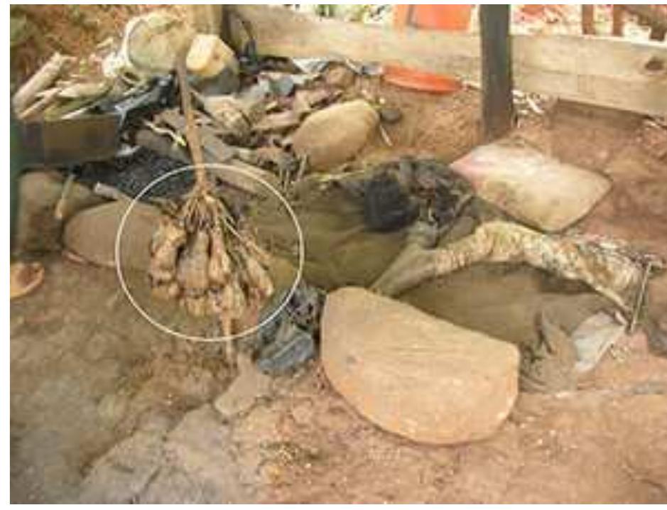 African iron production and iron-working technologies: