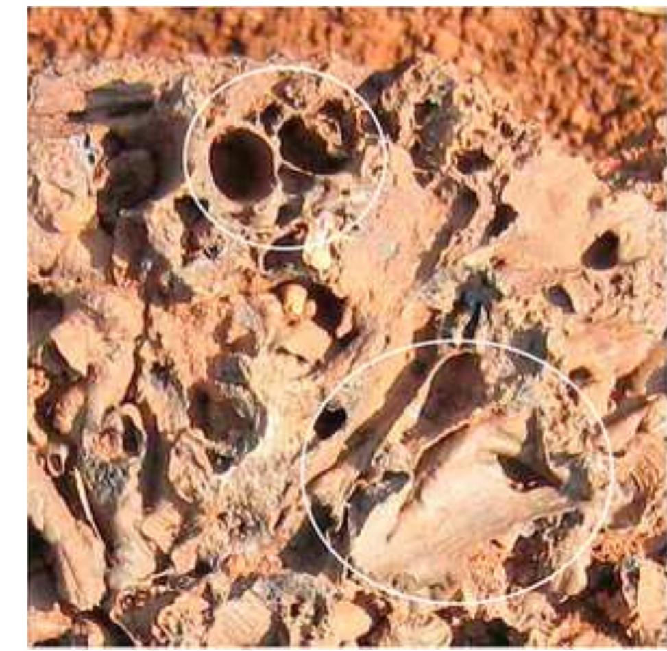 (PDF) African Iron Production and Iron-Working Technologies: Methods