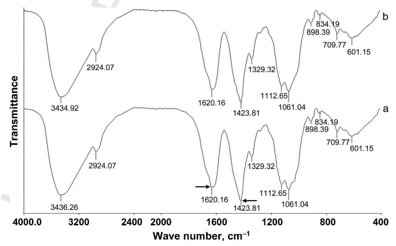 Ftir spectra of (a) standard cmc (ds=0.8 and (b) synthesized