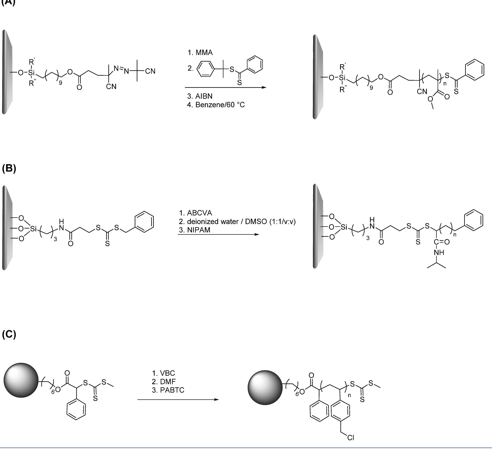 Raft polymerization. scheme 5 schematically depicts the