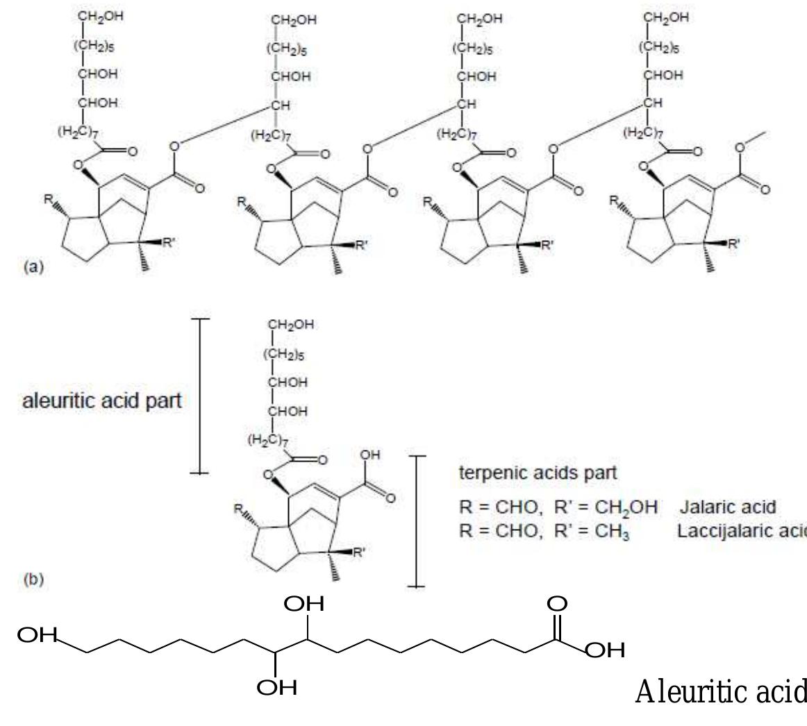 , simplified structure of shellac molecule (limmatvapirat