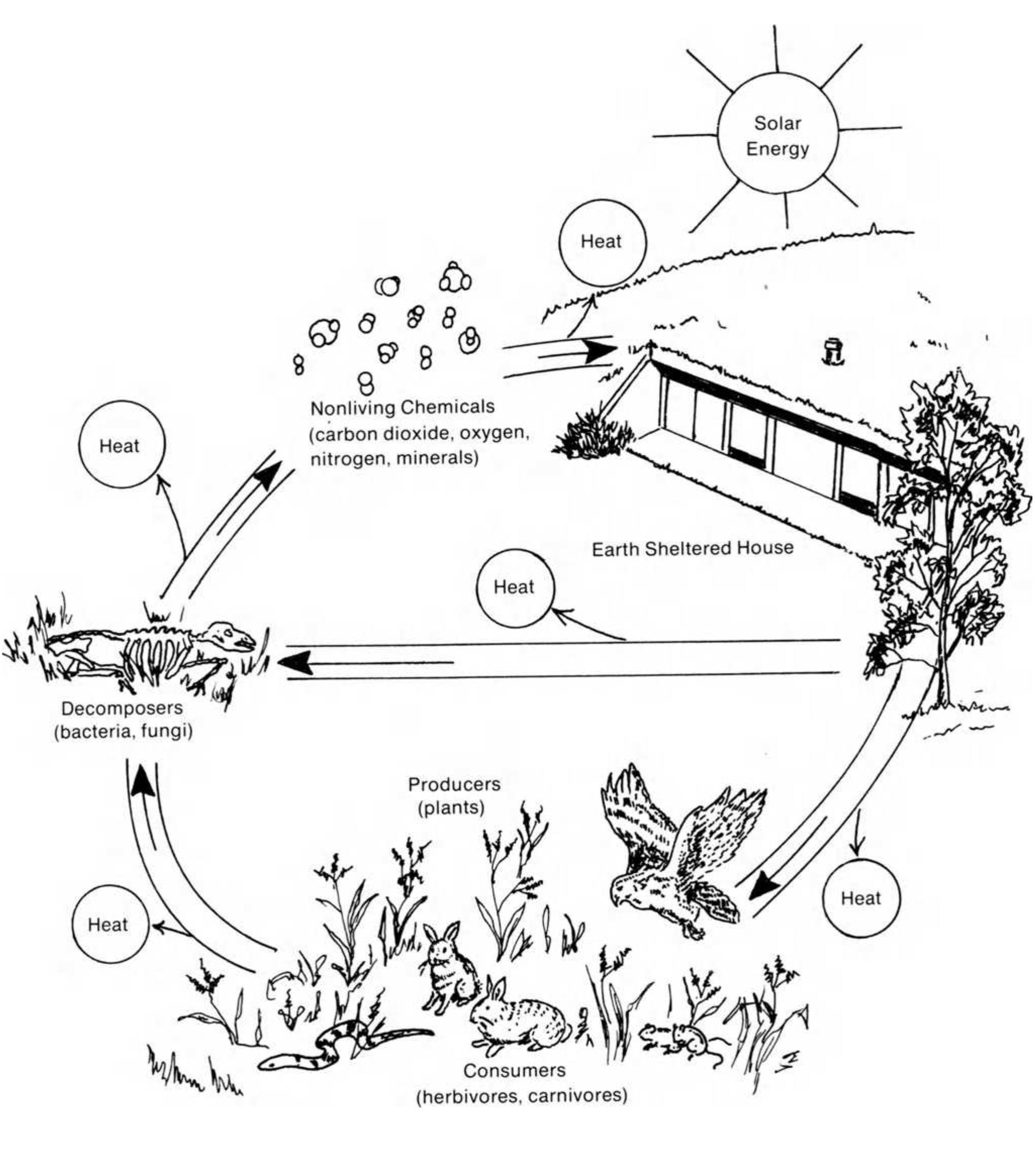 1-4. a summary of ecosystem structure and function incorpo-