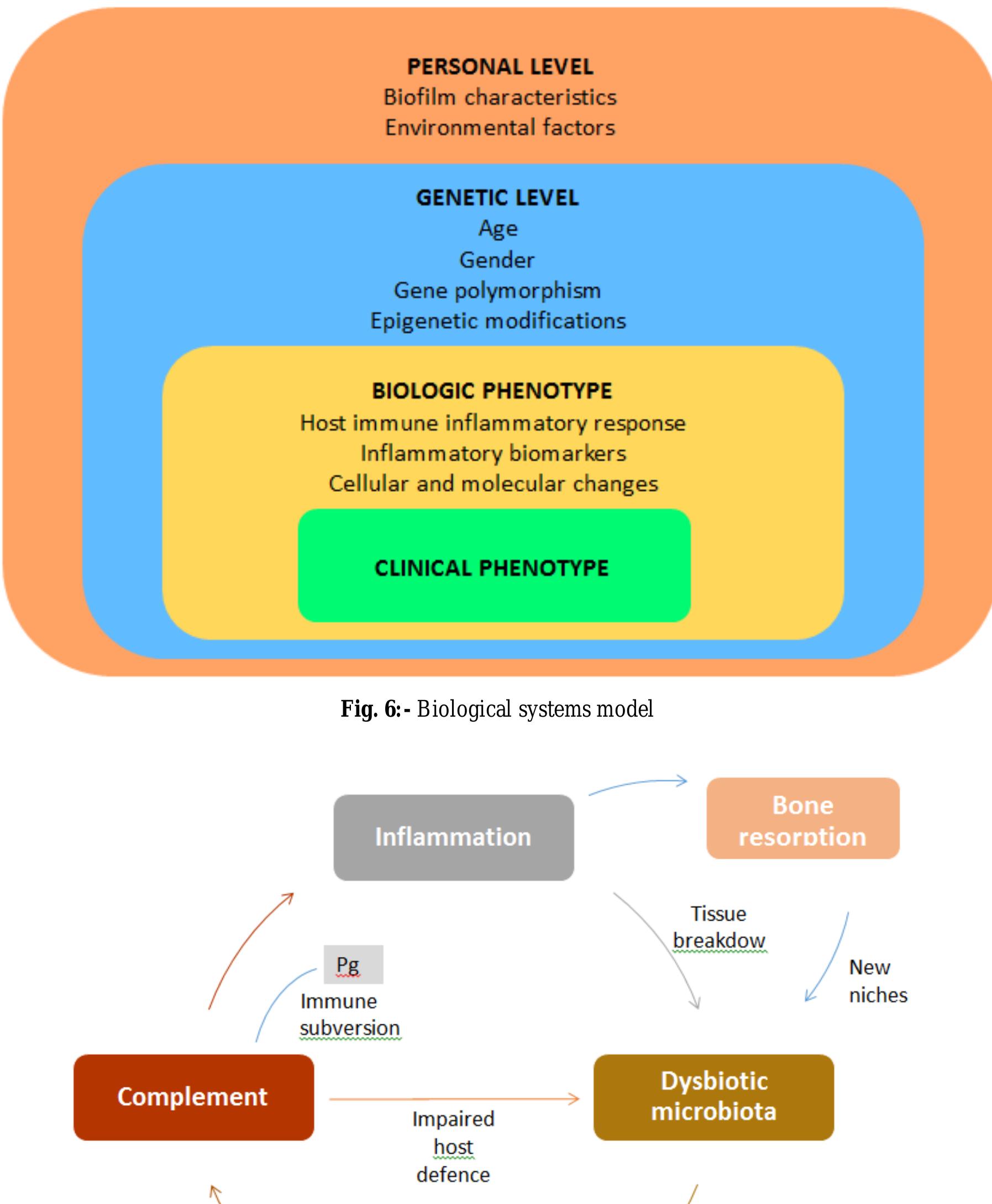 Figure 5 - A REVIEW ON MODELS OF PATHOGENESIS IN
