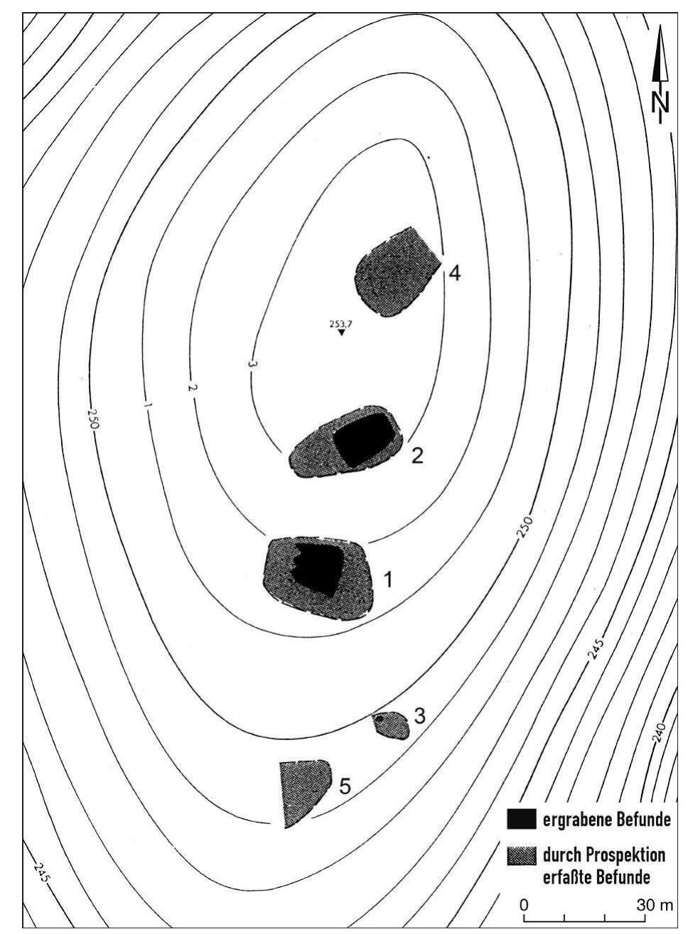 Black zones: excavated features grey zones: features