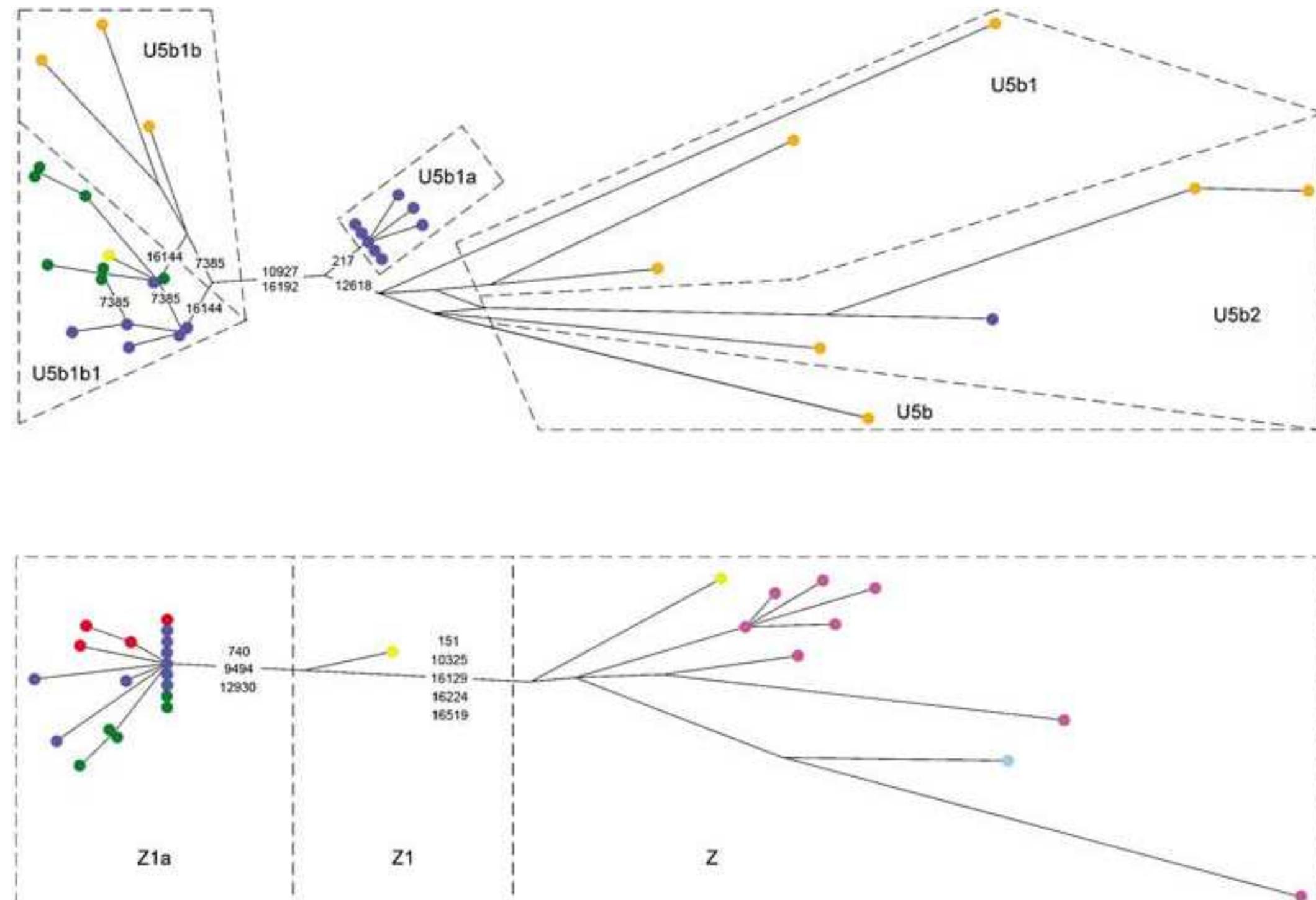(PDF) Common Era Sápmi Language Replacement: Origin and Outcome