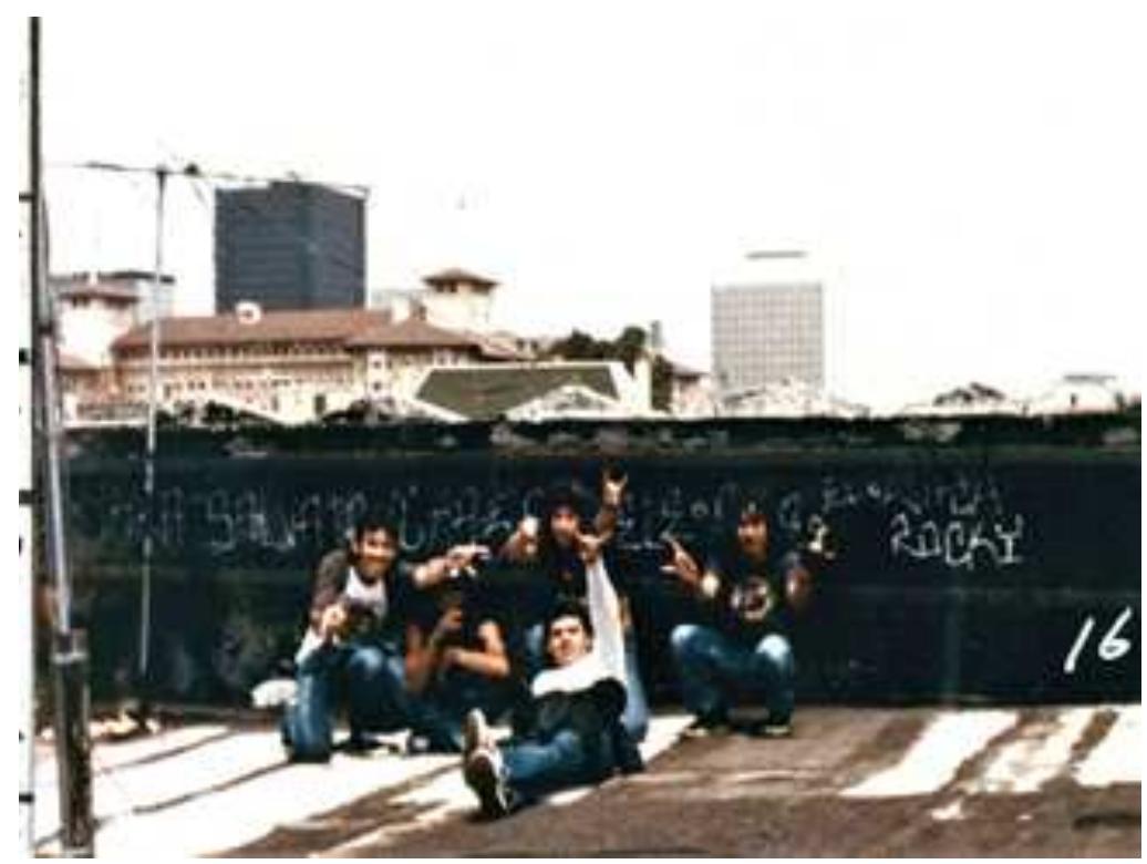 Figure 1 - from Third Generation Gangs Strategic Note No. 8: