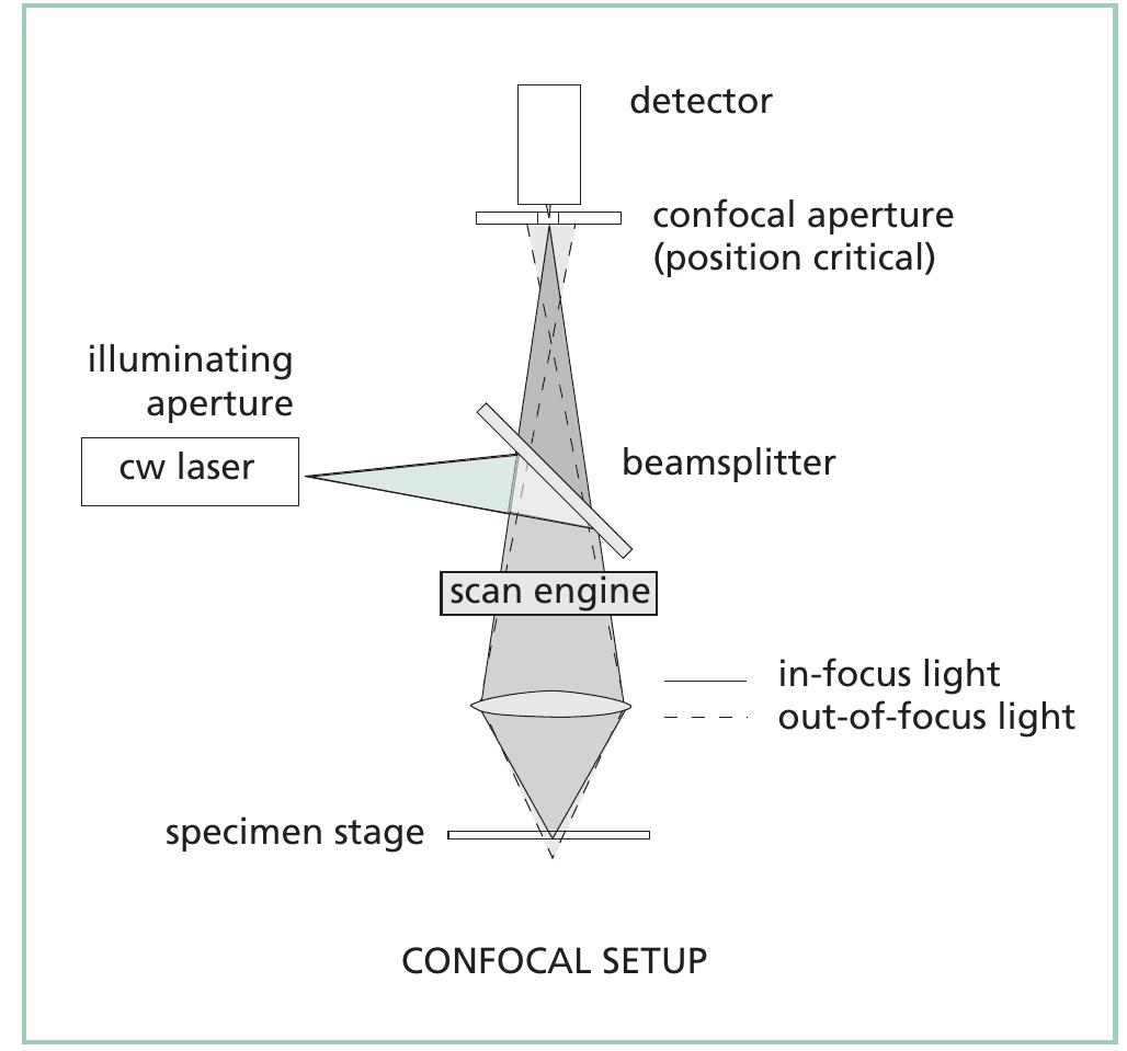33 optical schematic of a confocal microscope