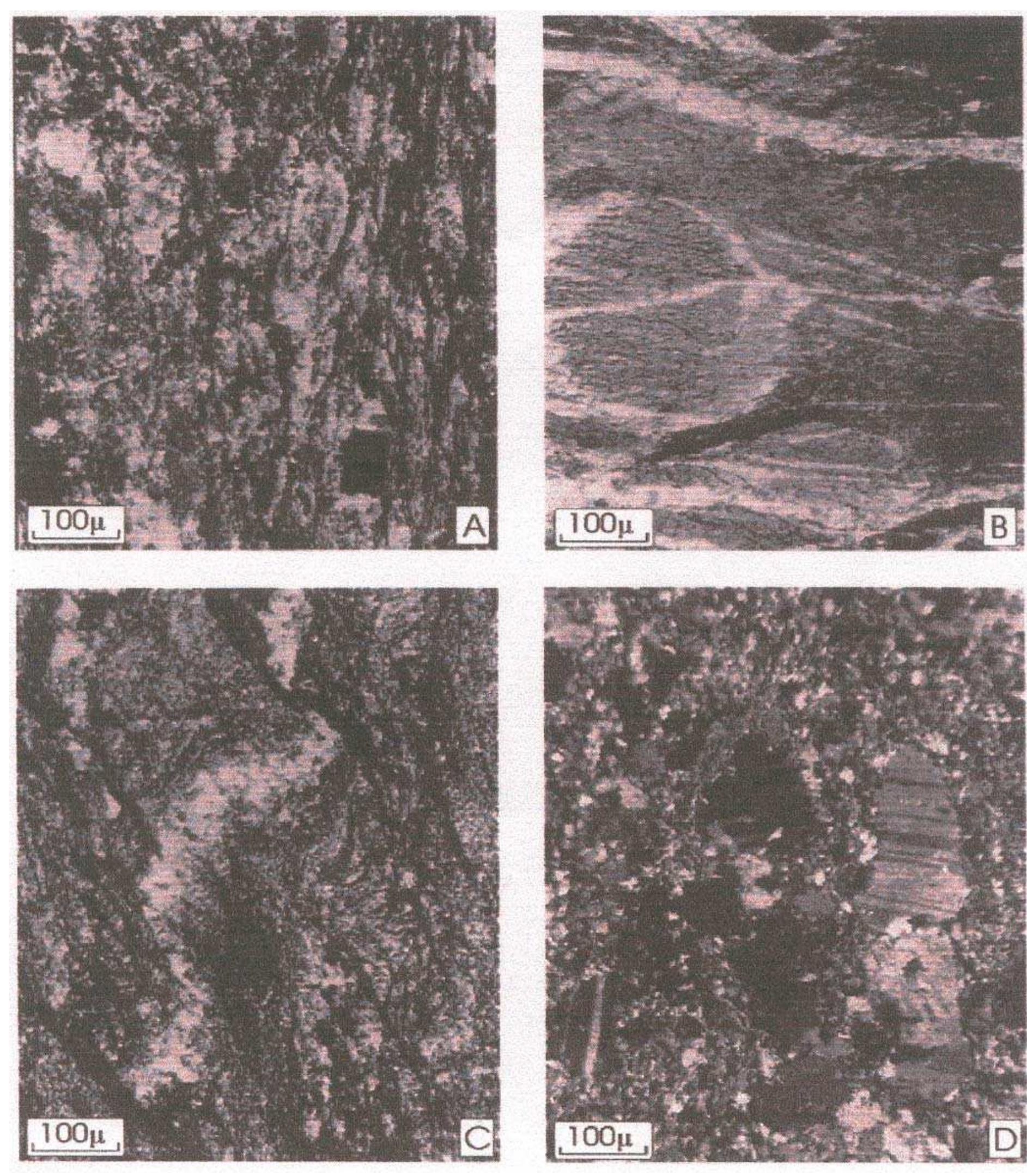 Photomicrographs of the metasedimentary rocks at prestea