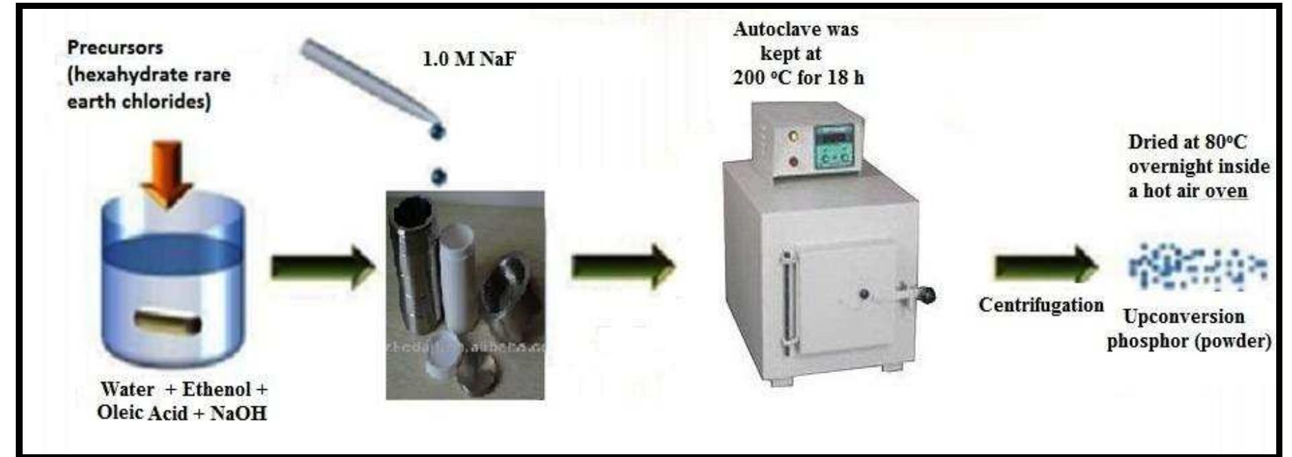 Schematic diagram shows the set up of synthesizing