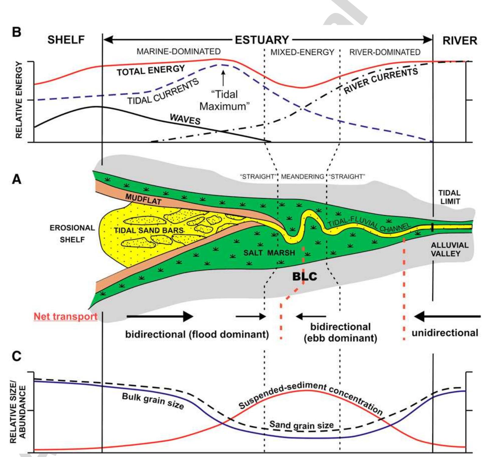 (a) schematic map of a tide-dominated estuary. note the