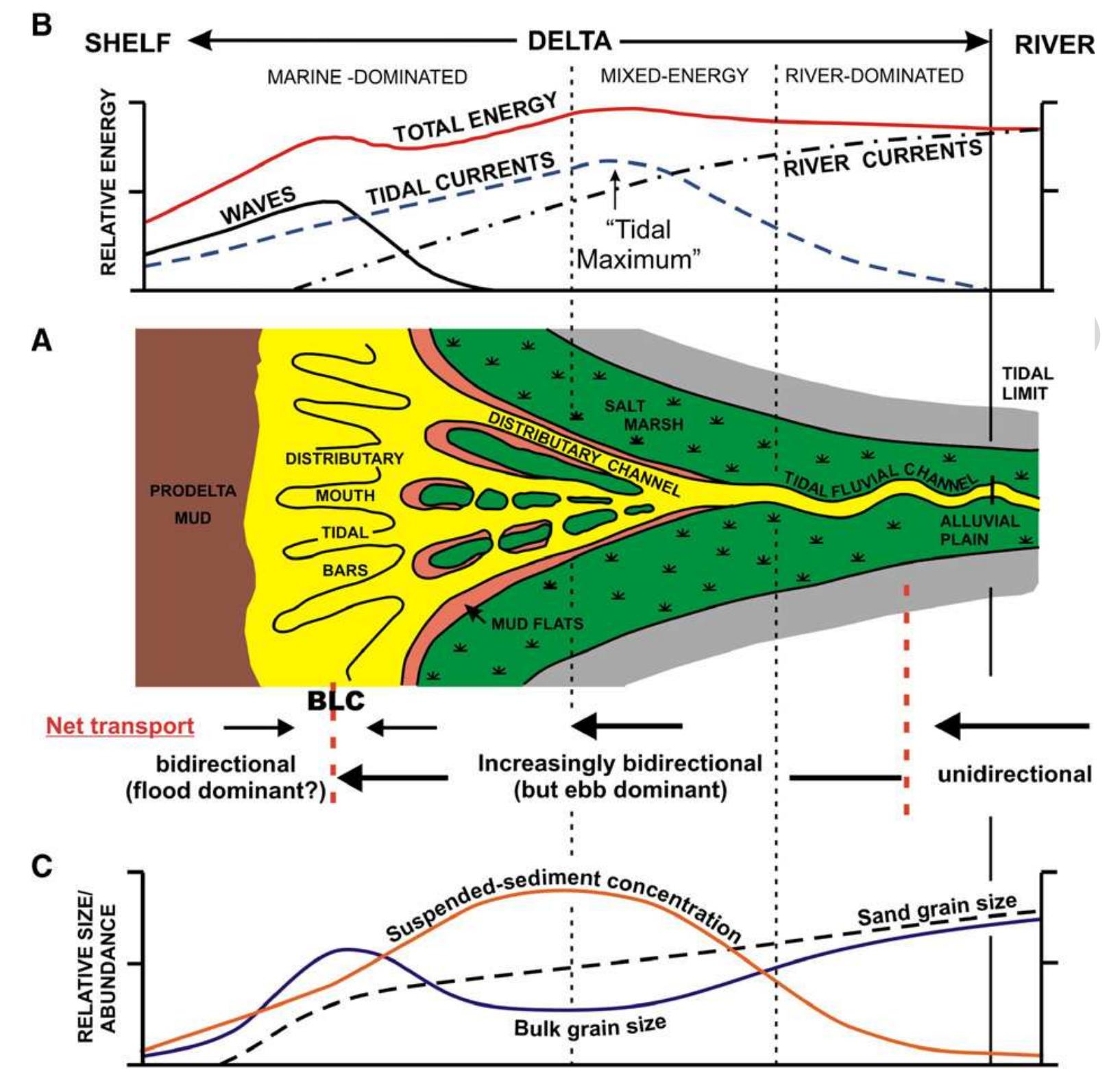 (a) schematic map ofa tide-dominated delta (sensu lato),